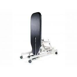 FORTRESS STABILITY TILT TABLE CHEST STRAP / INDIVIDUAL STRAP Yes ...